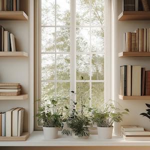 Zoom Background Bookshelf and Window, Living Room Virtual Home Office ...