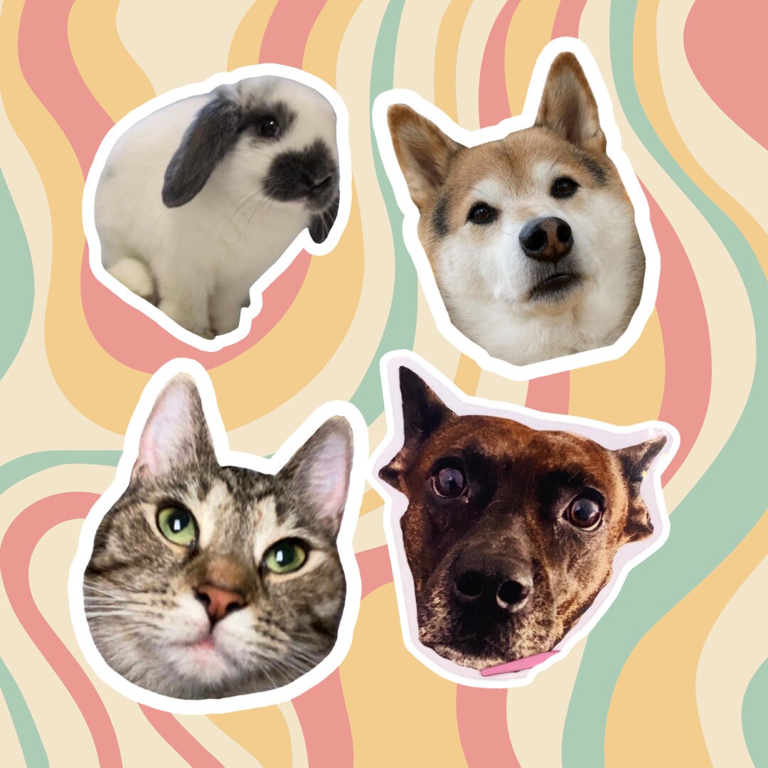 Custom Pet Vinyl Sticker, Custom Dog Sticker, Custom Cat Sticker, Bunny ...