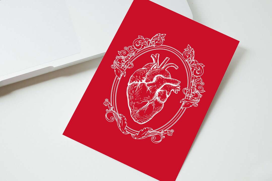 Anatomical Heart in Filigree Frame Valentine's Day Greeting Cards 5 ...