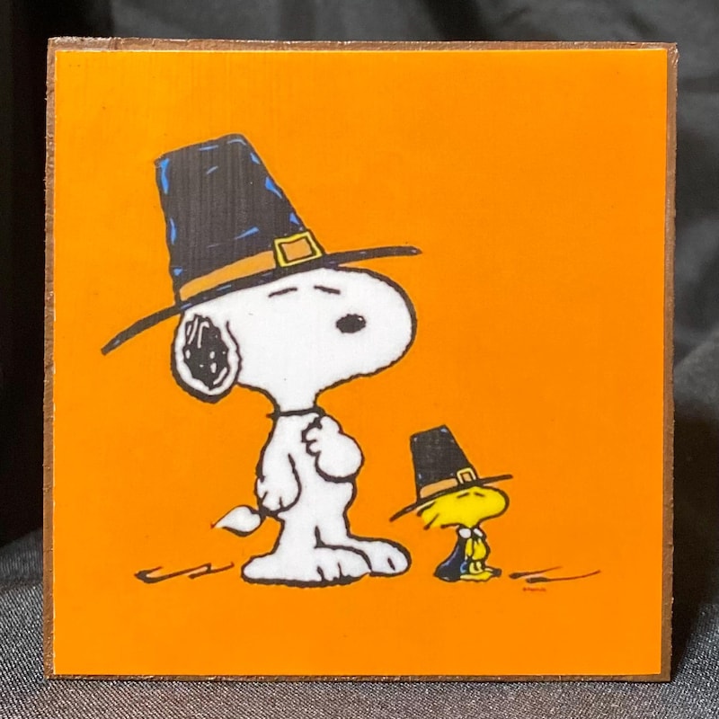 Peanuts Fall Decor - Etsy