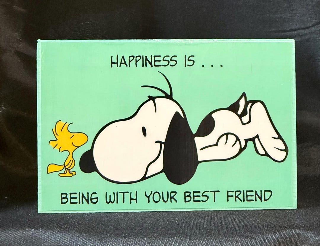 Snoopy and Woodstock Home Decor Blocks - Etsy