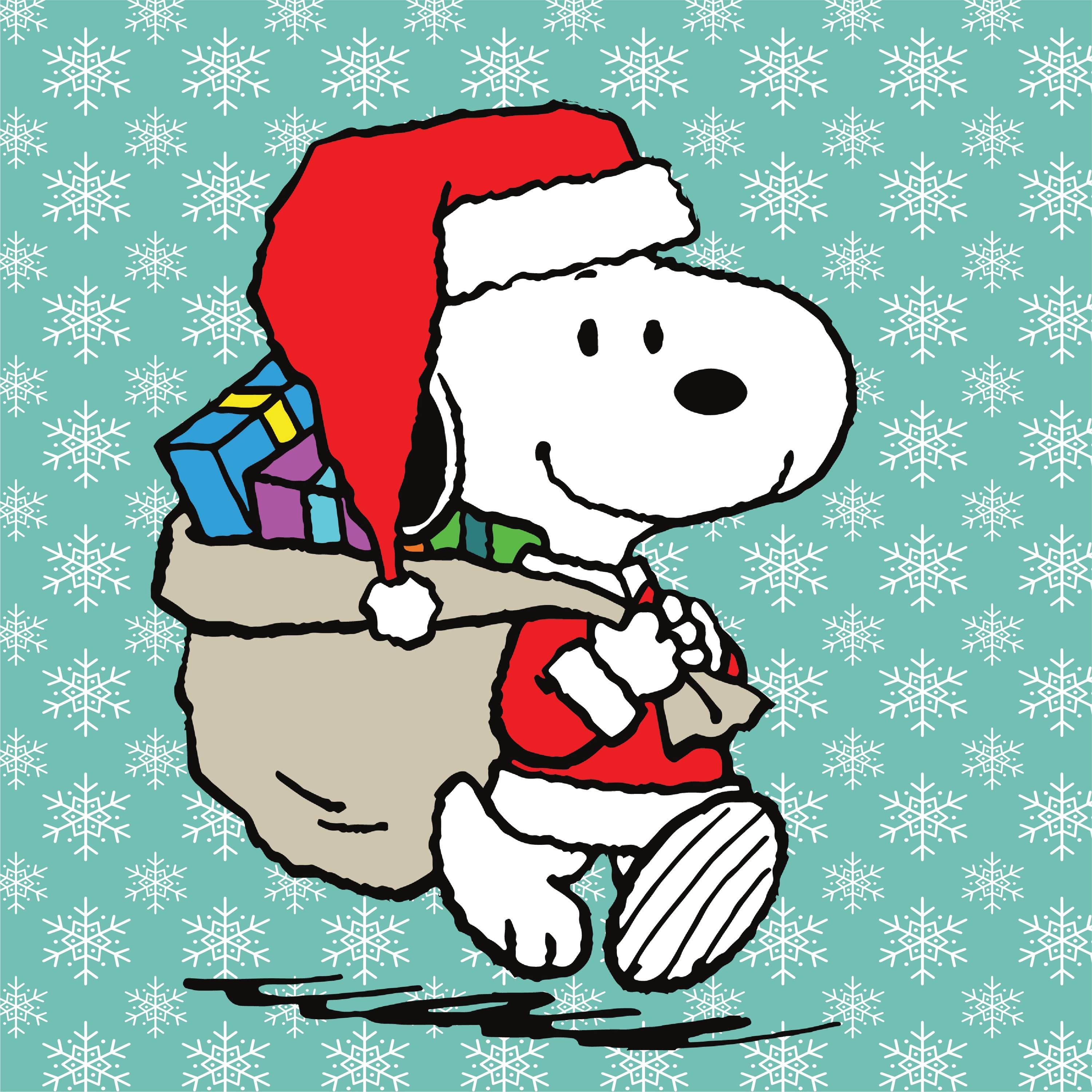 Peanuts Christmas Home Decor Blocks - Etsy