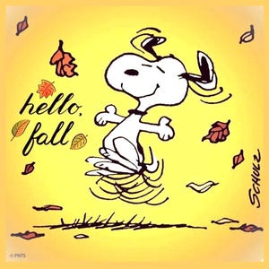 Snoopy Fall Home Decor Blocks - Etsy