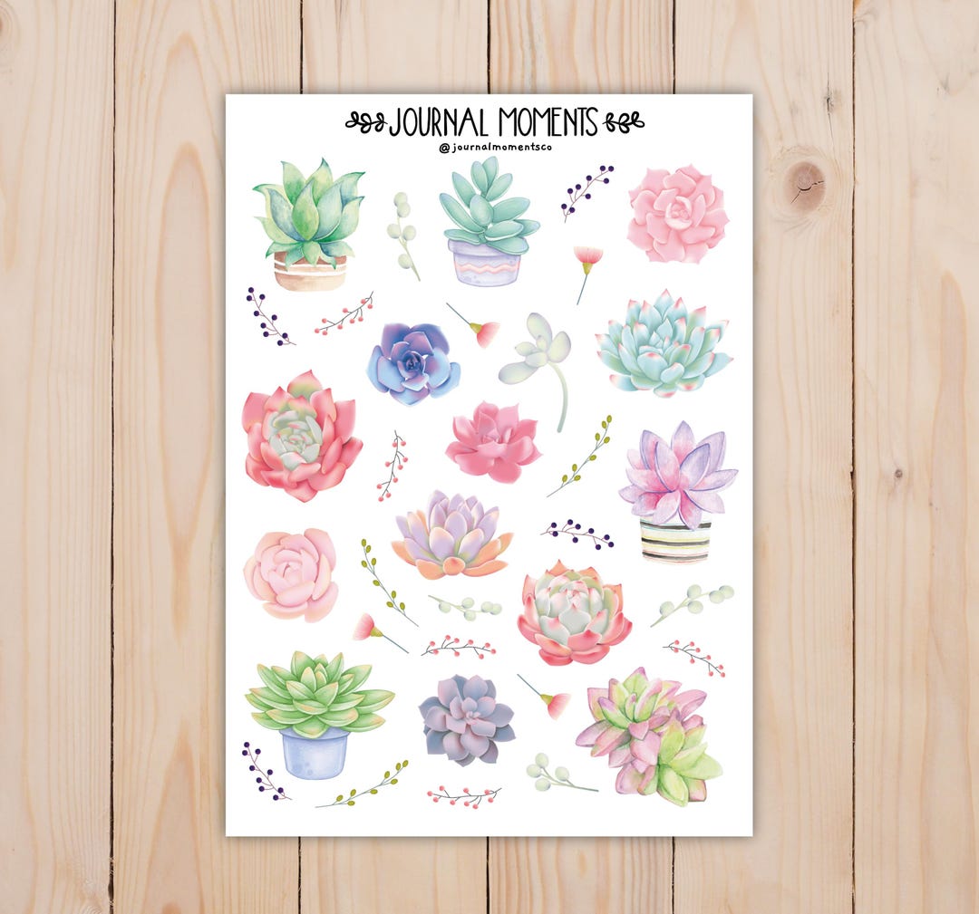 Succulents Sticker Sheet, Planner Stickers, Bullet Journal Stickers - Etsy