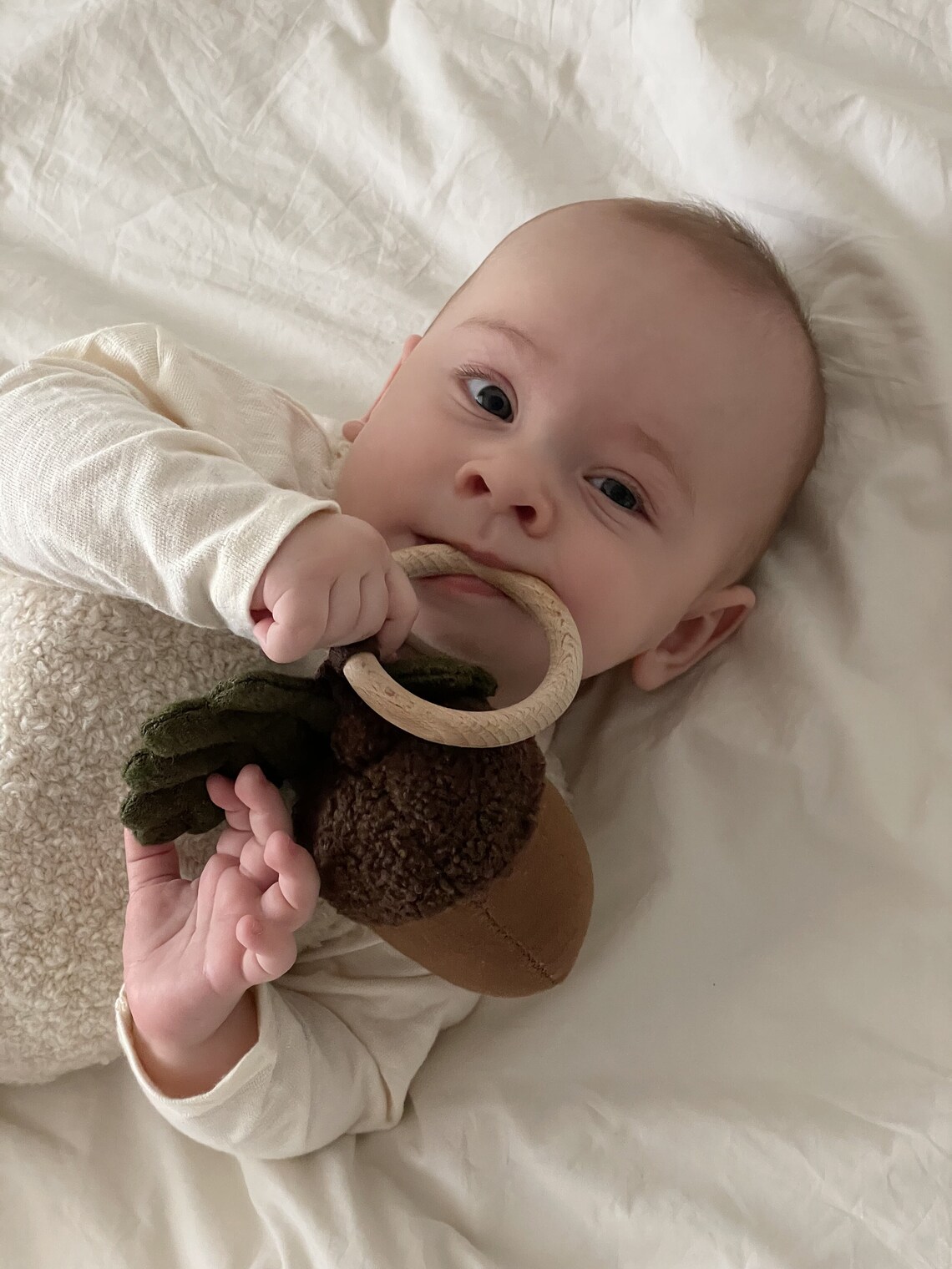 Acorn Baby Rattle, Baby Sensory Toys, Educational Toys, Baby Toys 6 ...