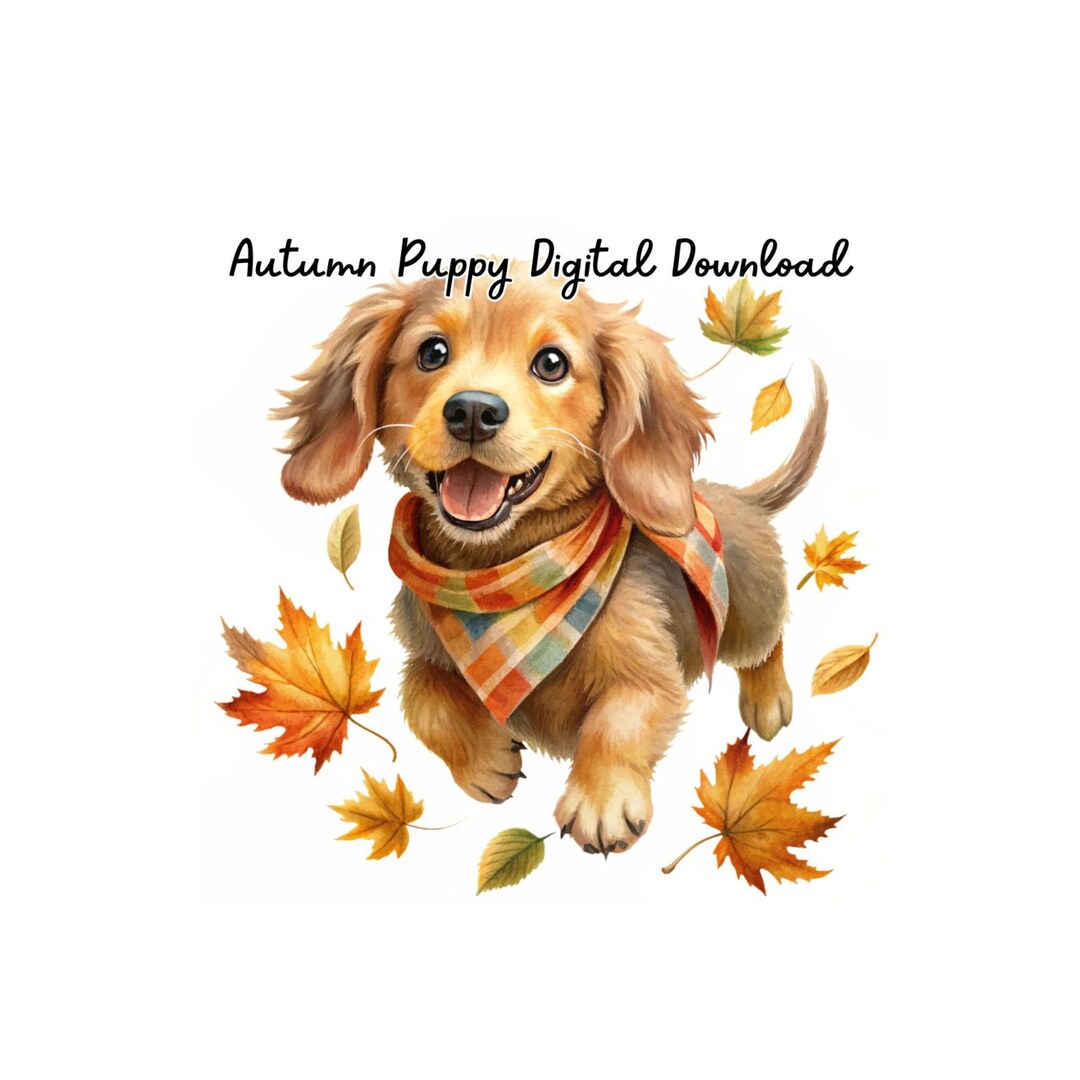 Autumn Puppy Digital Download PNG Transparent Background 8 Images Set ...