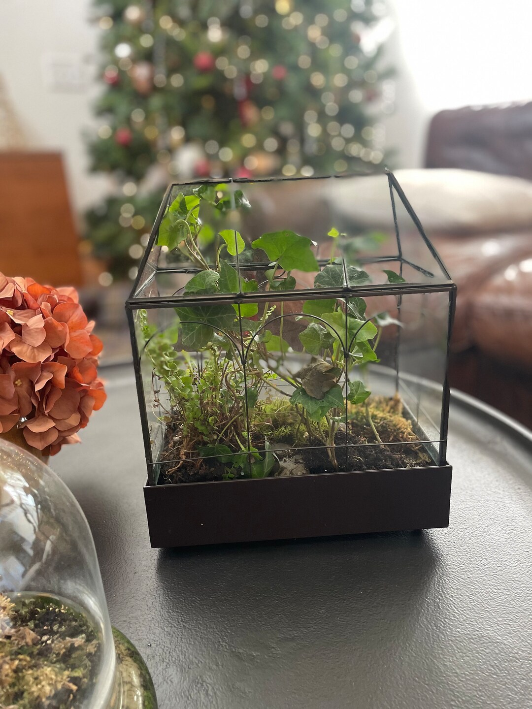 Terrarium, Black Metal Glass House - Etsy