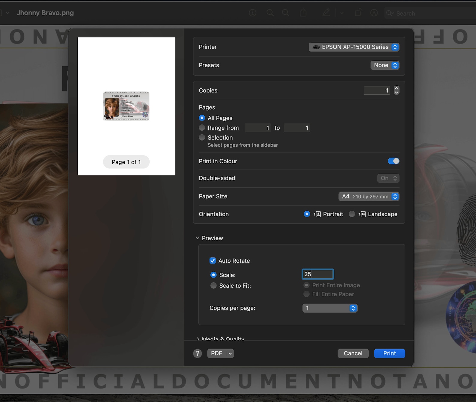 Personalised Pilot License 9 Printable Cosplay Pilot License Editable 9 ...