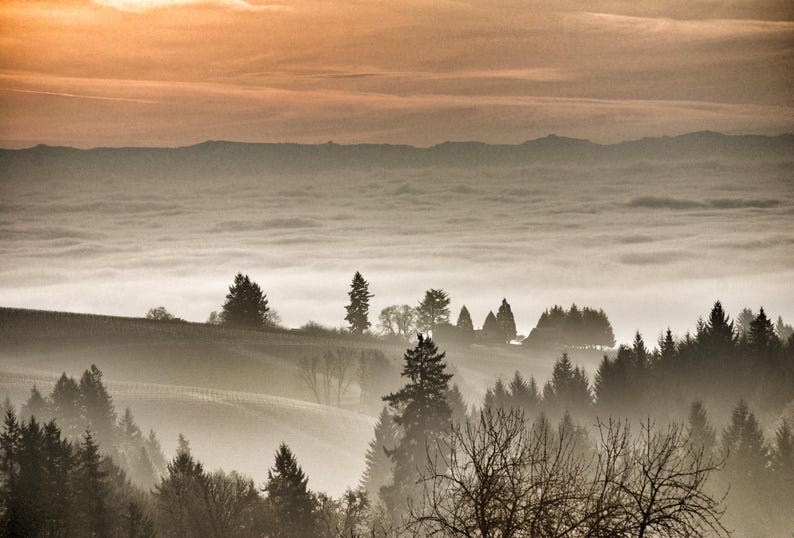 Willamette Valley Misty Morning Photo – Oregon Wine Country Landscape ...