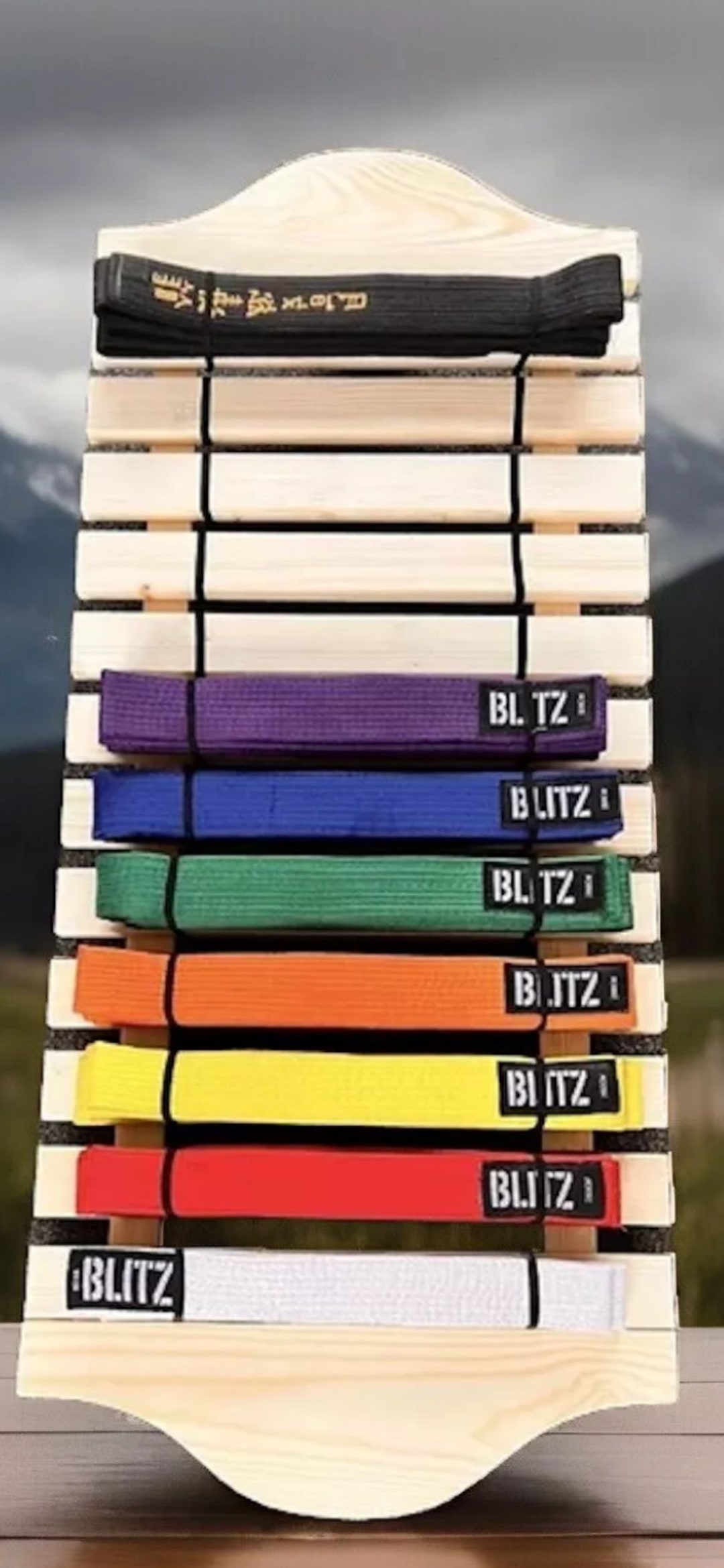 Martial Art/ Karate/ Kickboxing/ Judo/ Ju-jitsu/ Sports Belt Display ...