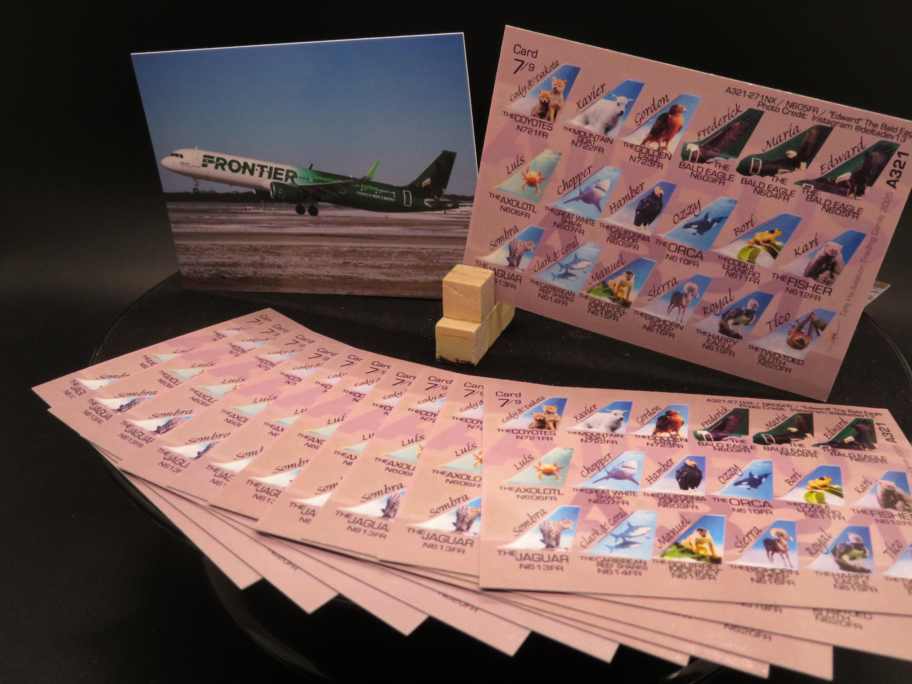 Frontier Airlines Aviation Trading Cards 9 Card Fleet Set (4 Sets ...