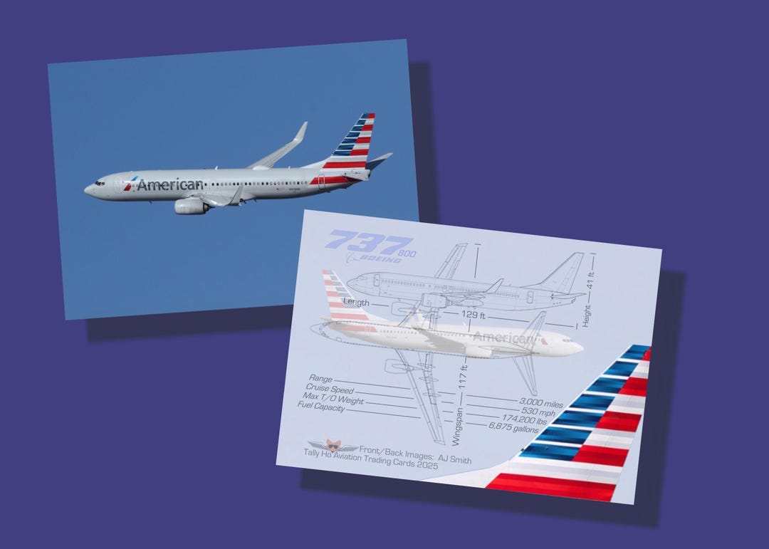 American Airlines Boeing 737-800 Trading Cards - Set of 25 - Etsy