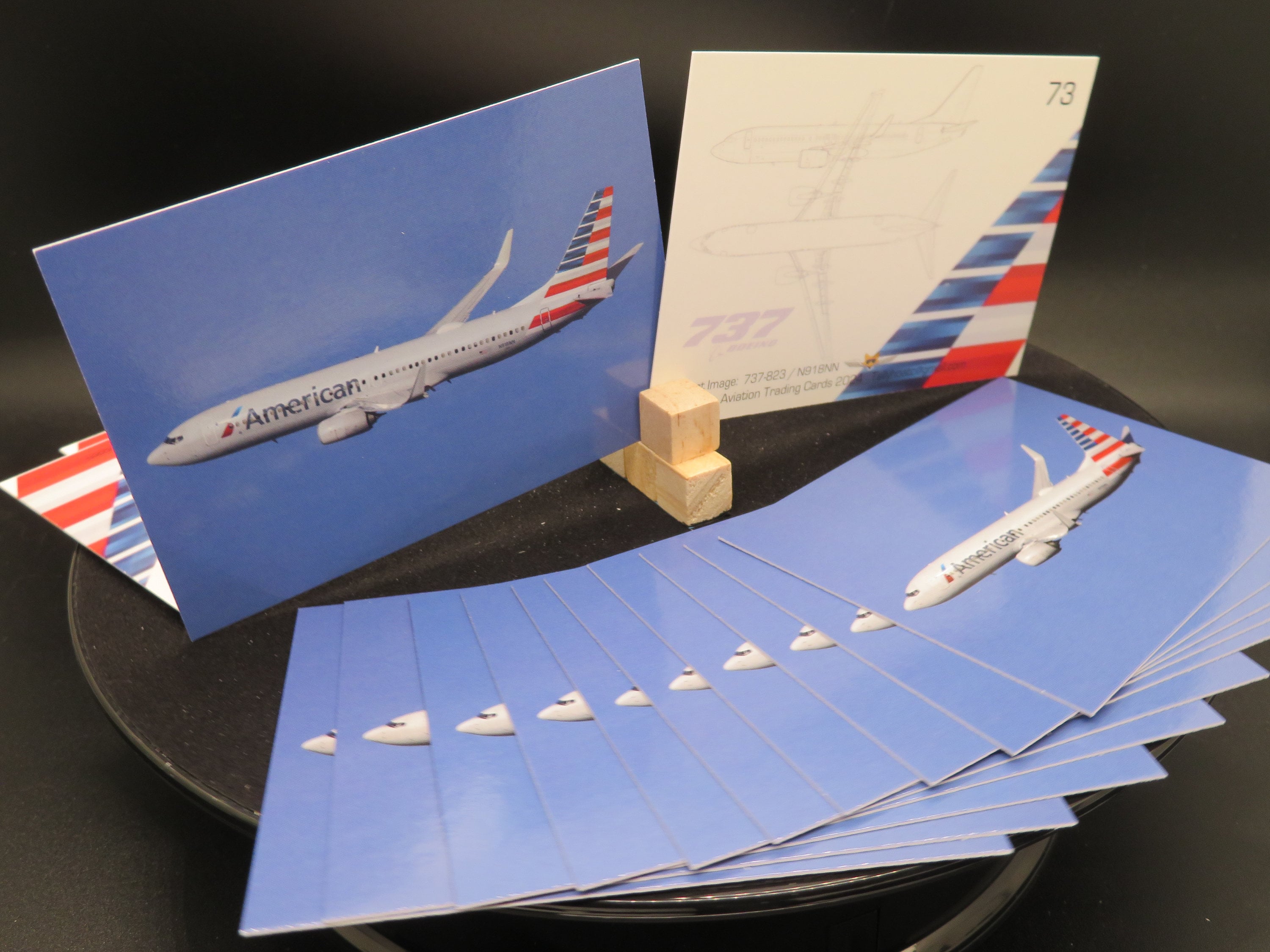 American Airlines Boeing 737-800 Set of 50 Aviation Trading Cards 2.5x ...