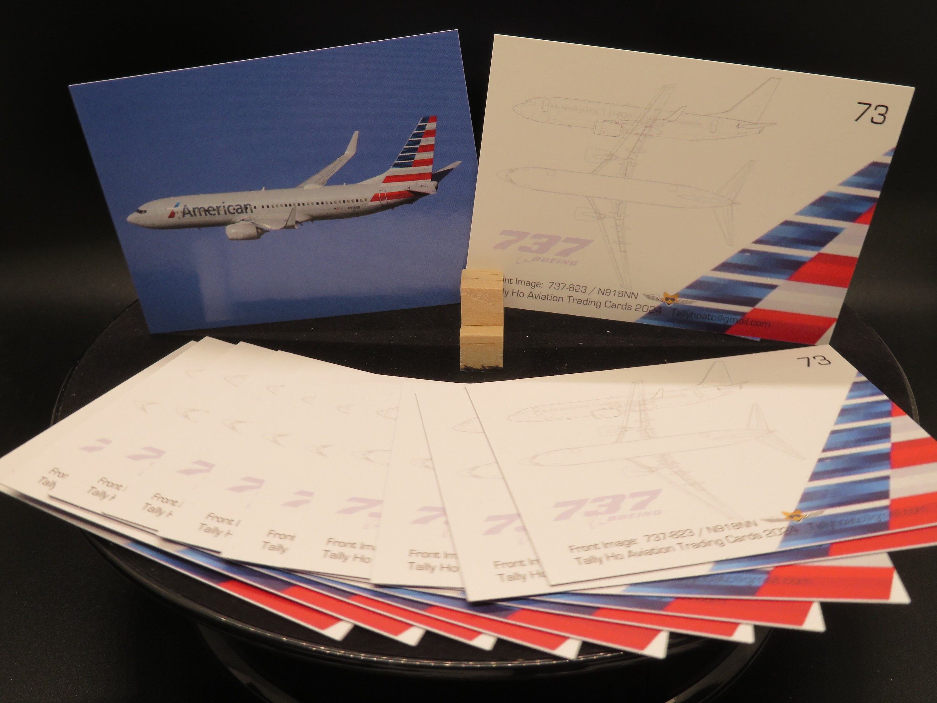 American Airlines Boeing 737-800 Set of 50 Aviation Trading Cards 2.5x ...