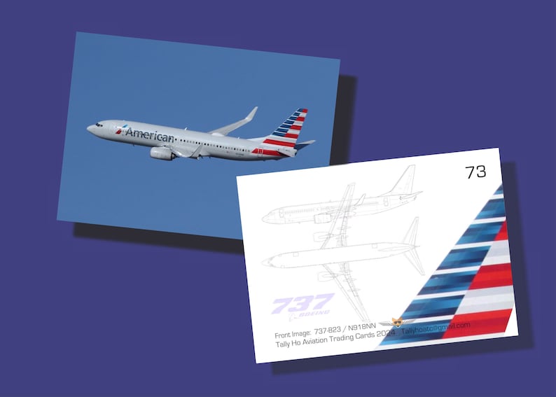 American Airlines Boeing 737-800 Set of 50 Aviation Trading Cards 2.5x ...