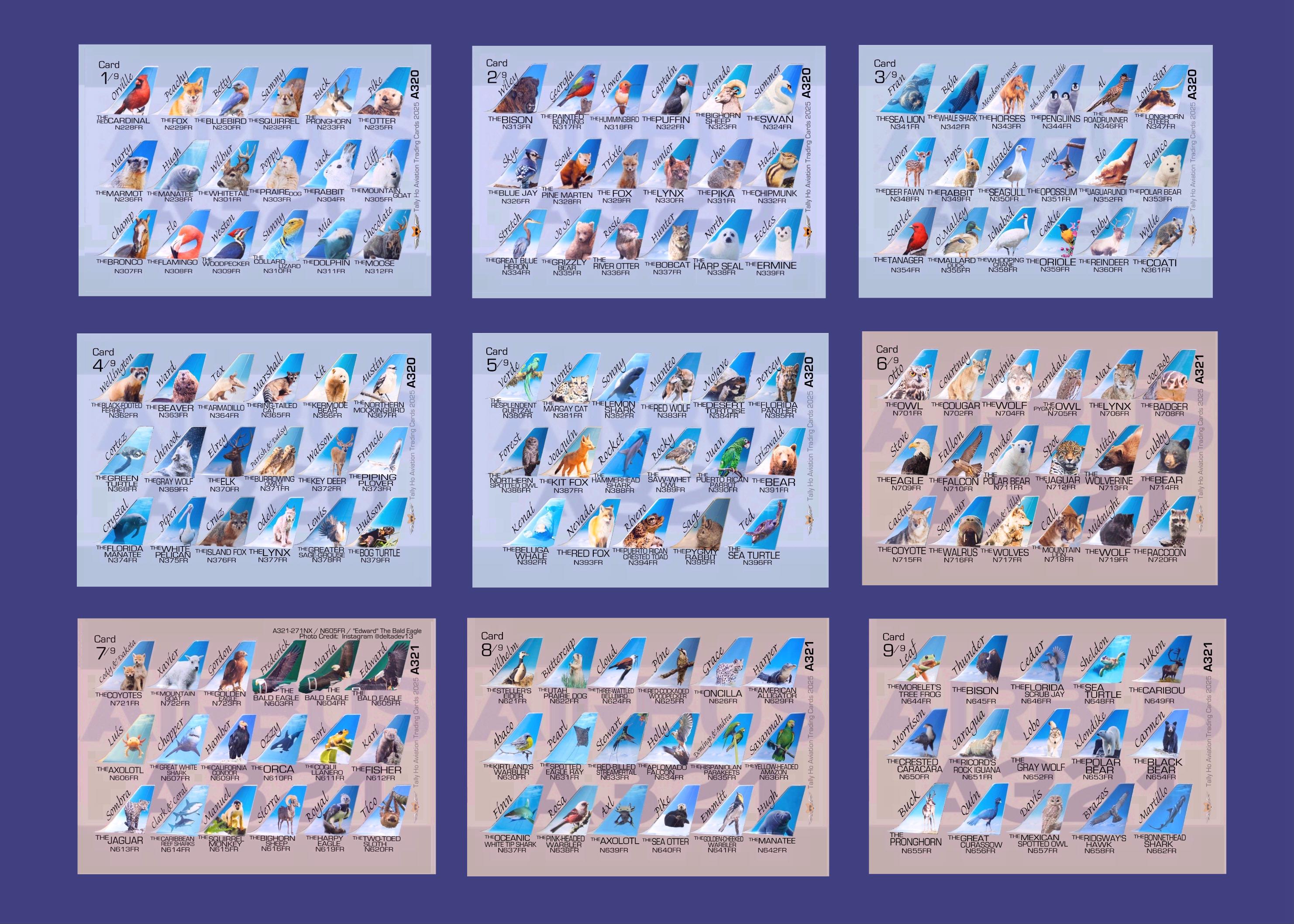Frontier Airlines Aviation Trading Cards 9 Card Fleet Set (4 Sets ...