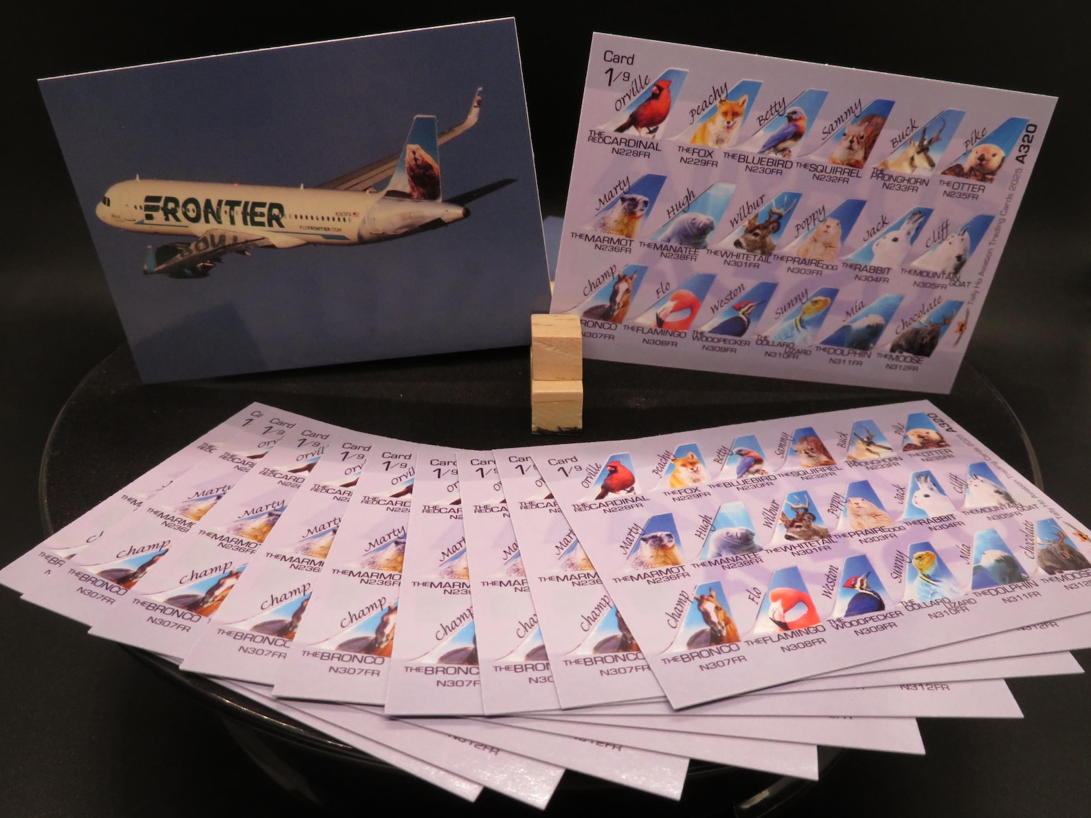 Frontier Airlines Aviation Trading Cards 9 Card Fleet Set (4 Sets ...