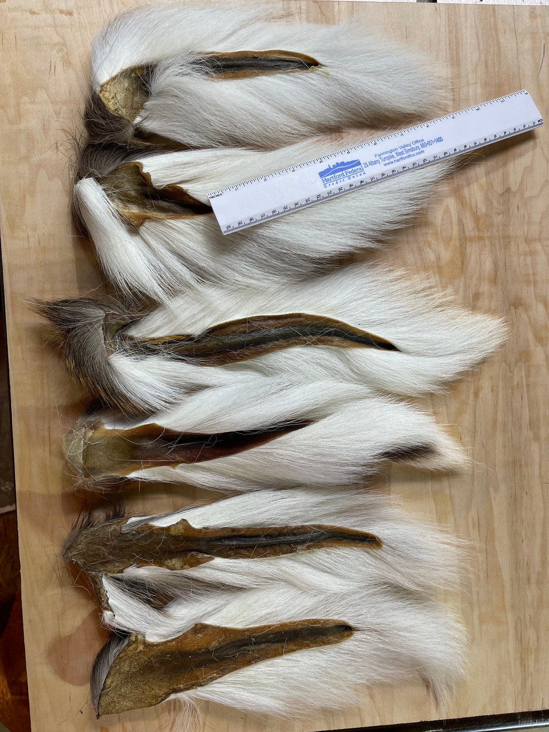 Bucktail, Deer Tail, Fly Tying Material, Deer Fur, Taxidermy, Select ...