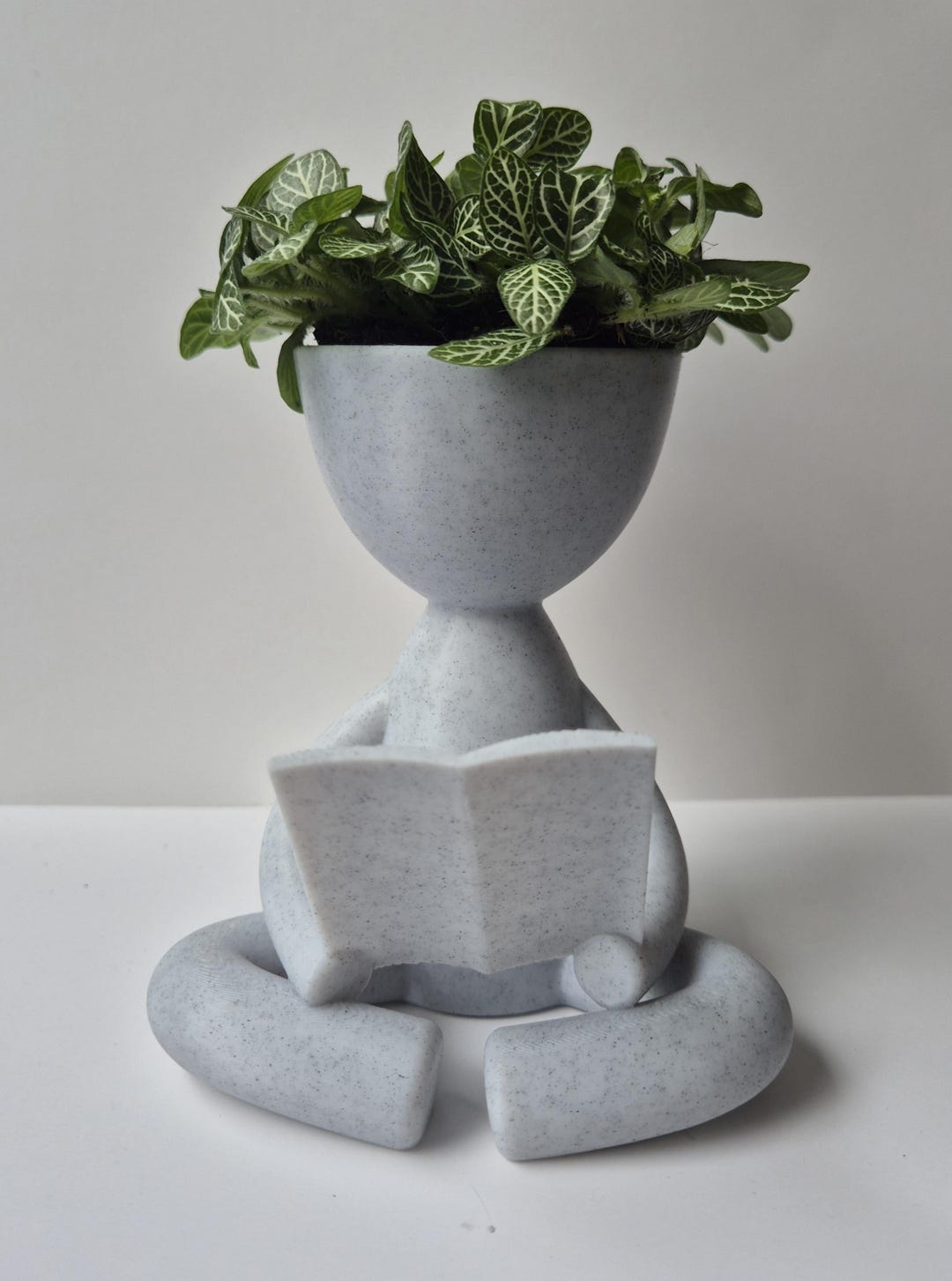 Book Reading Planter, Small Planter, Gift for Book Lovers, Gift for ...