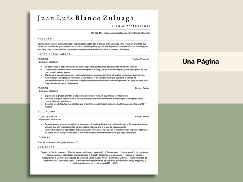 Resume Template Resume Word Resume Templates CV Template Resume Pages ...