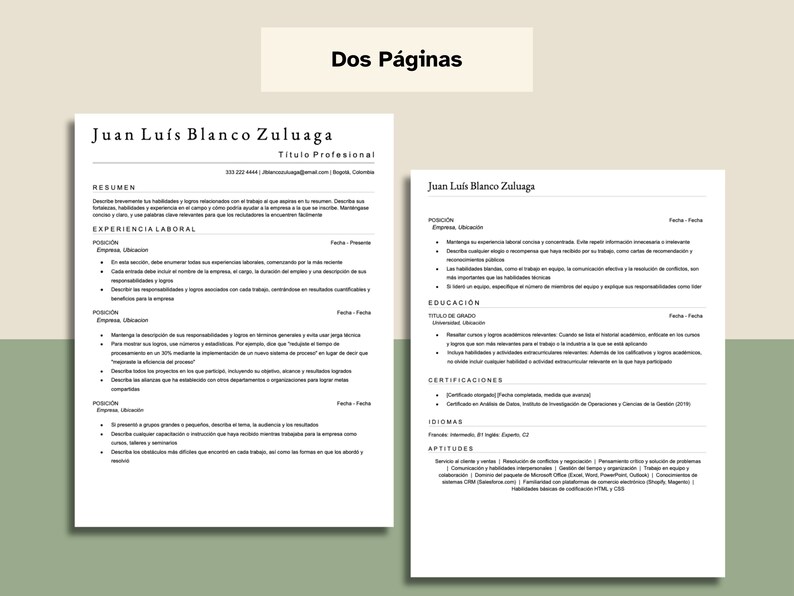Resume Template Resume Word Resume Templates CV Template Resume Pages ...