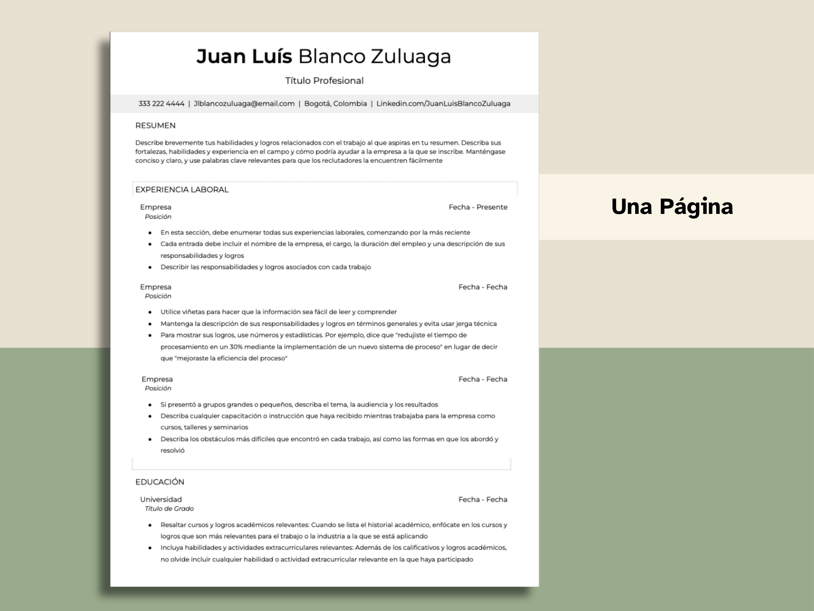 Currículum Vitae Template Currículum Word Curriculum Templates CV ...
