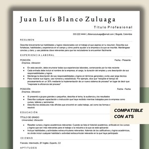 Resume Template Resume Word Resume Templates CV Template Resume Pages ...