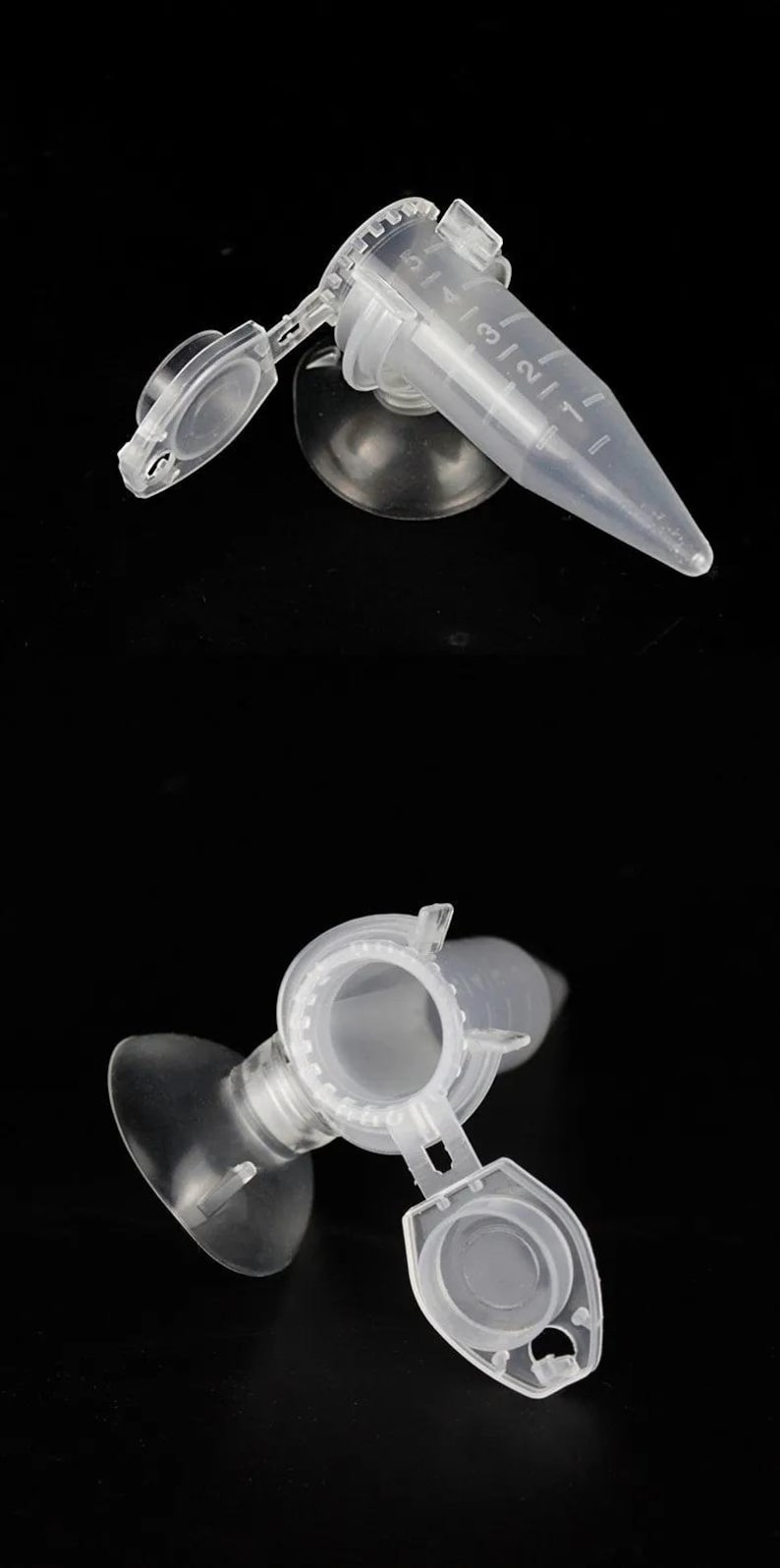 Fish Feeder Cone With Suction, an Aquarium Accessory for Conveniently ...