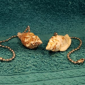 Sea Shell Light Pull and Fan Pull Set - Sea Shell Decor - Etsy