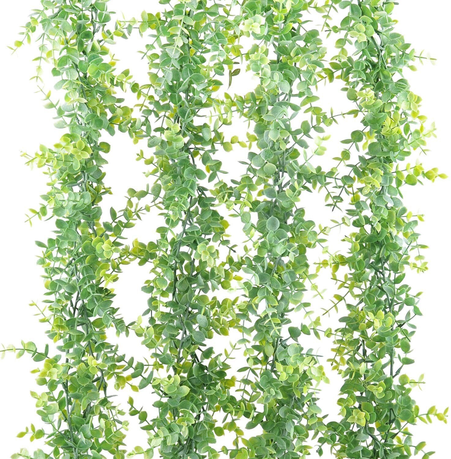 Eucalyptus Strands Set of 2 Strands 180 Cm, or 6 Ft. Each 144 Branches ...