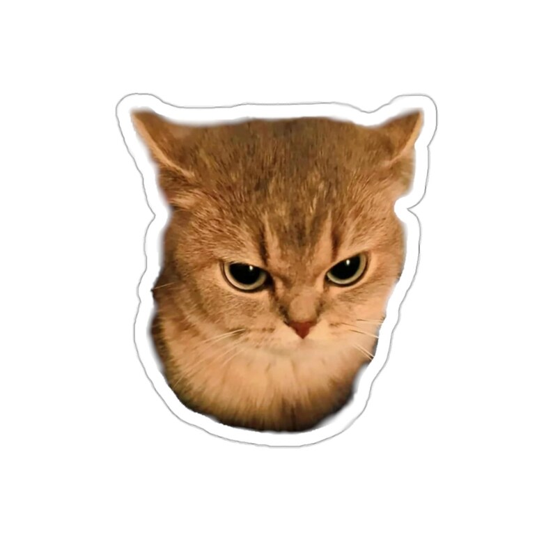 Funny Cat Sticker mad Cat - Etsy