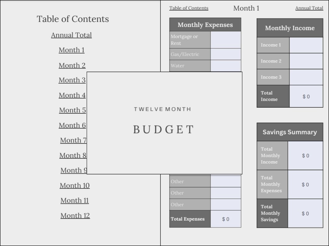Interactive Monthly Budget PDF With Annual Roll-up Easy Finance ...
