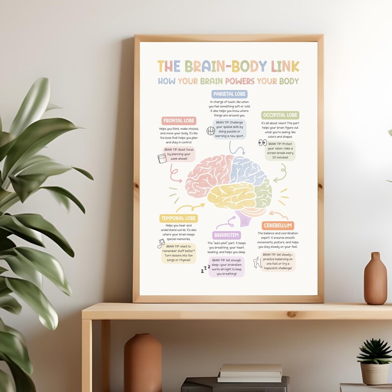 The Brain-body Link Poster, Neuroscience Art, Mind-body Connection ...