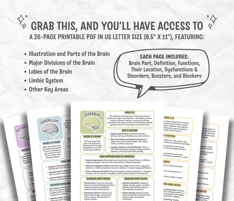 Brain Anatomy Resource Bundle, Brain Region, Brain Lobes, Neuroscience ...