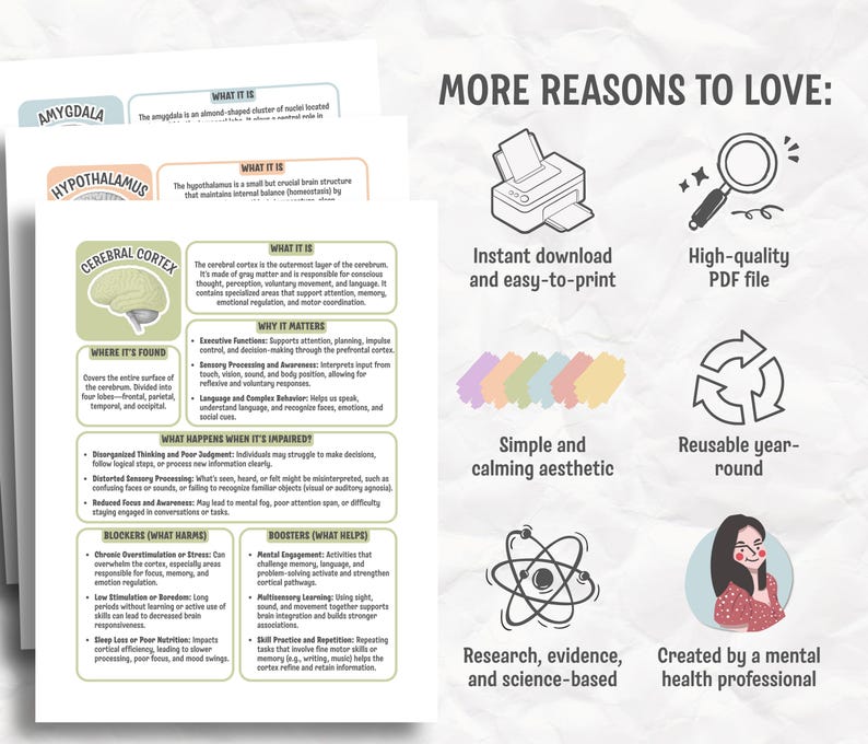 Brain Anatomy Resource Bundle, Brain Region, Brain Lobes, Neuroscience ...