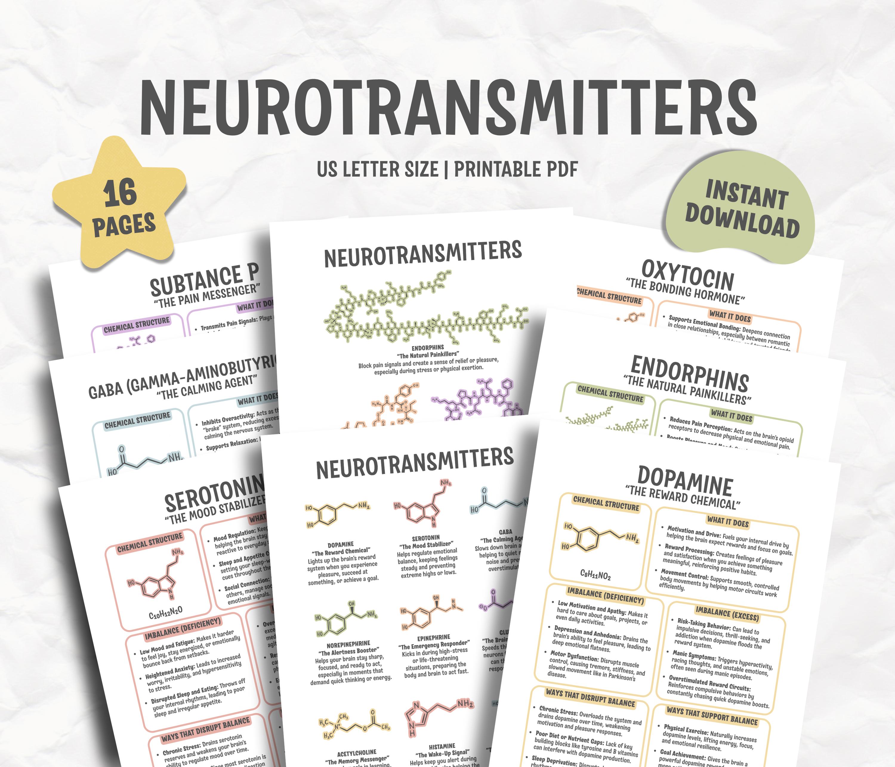 Neurotransmitters Handouts, Brain Chemistry, Happy Chemicals ...