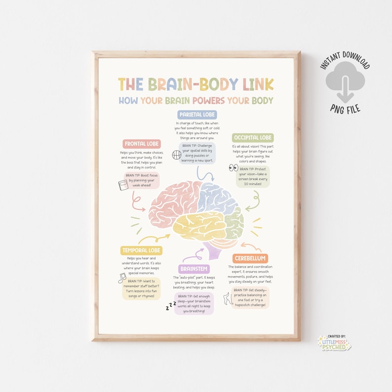 The Brain-body Link Poster, Neuroscience Art, Mind-body Connection ...