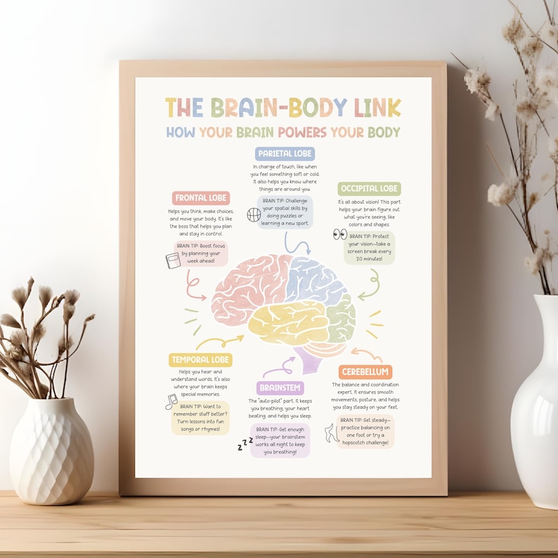The Brain-body Link Poster, Neuroscience Art, Mind-body Connection ...