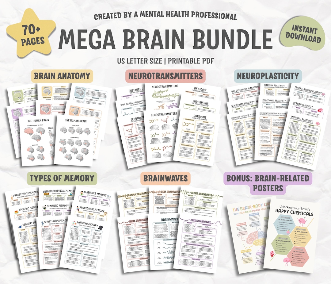 Mega Brain Bundle || Brain Anatomy, Brain Region, Brain Lobes, Cognitive Neuroscience, Neuro ...