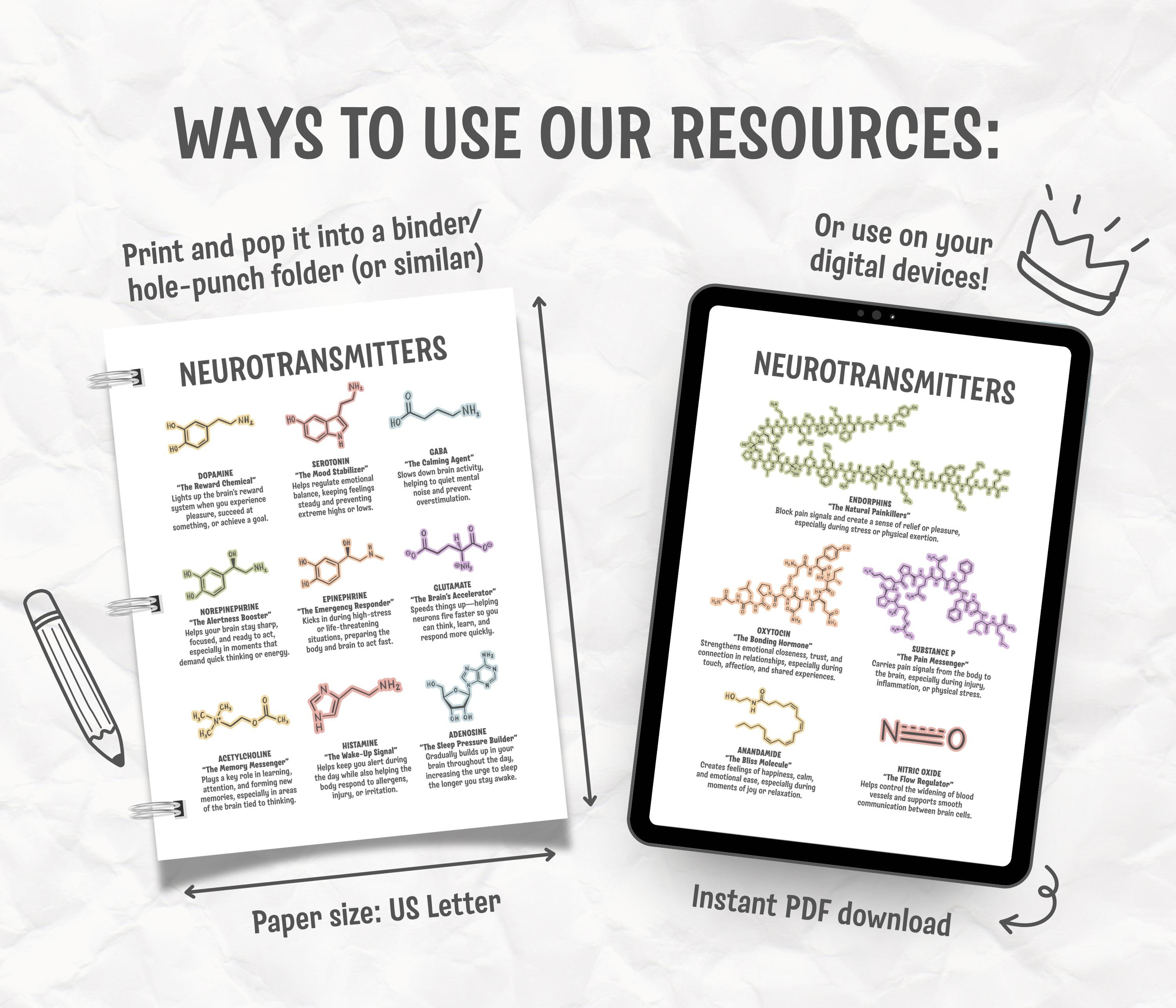 Neurotransmitters Handouts, Brain Chemistry, Happy Chemicals ...