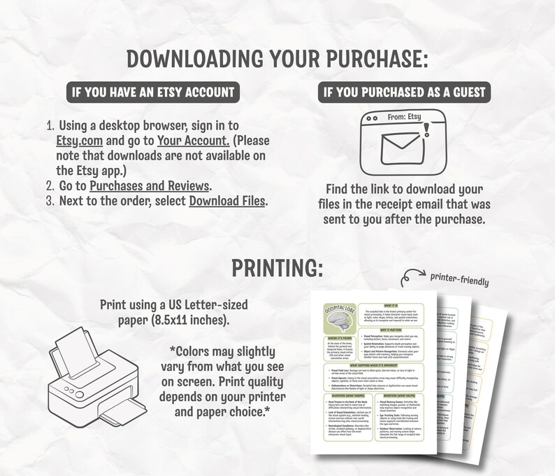 Brain Anatomy Resource Bundle, Brain Region, Brain Lobes, Neuroscience ...
