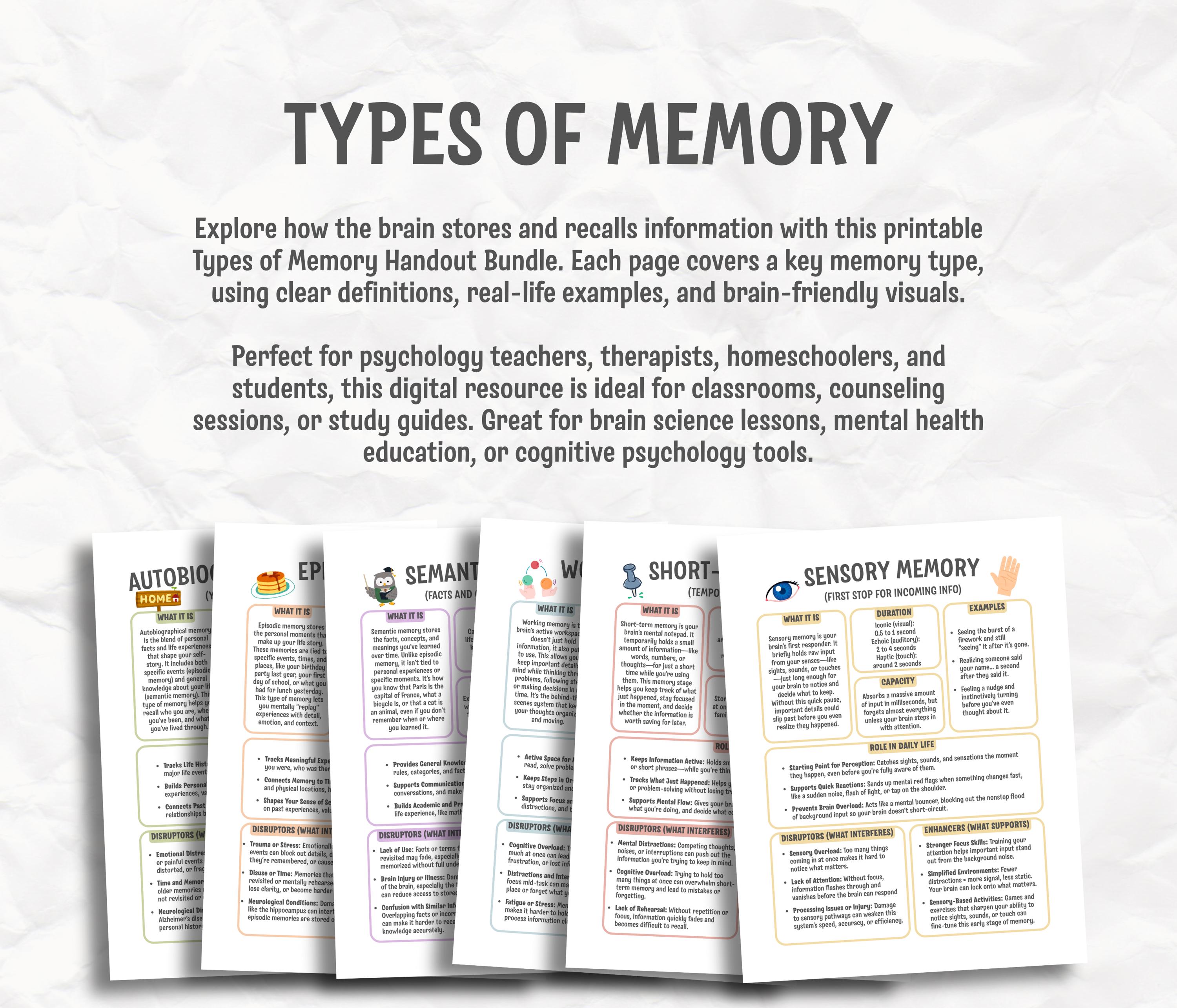 Types of Memory || Neuroscience, Working Memory Boost, Brain Anatomy ...