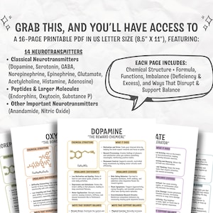 Neurotransmitters Handouts, Brain Chemistry, Happy Chemicals ...