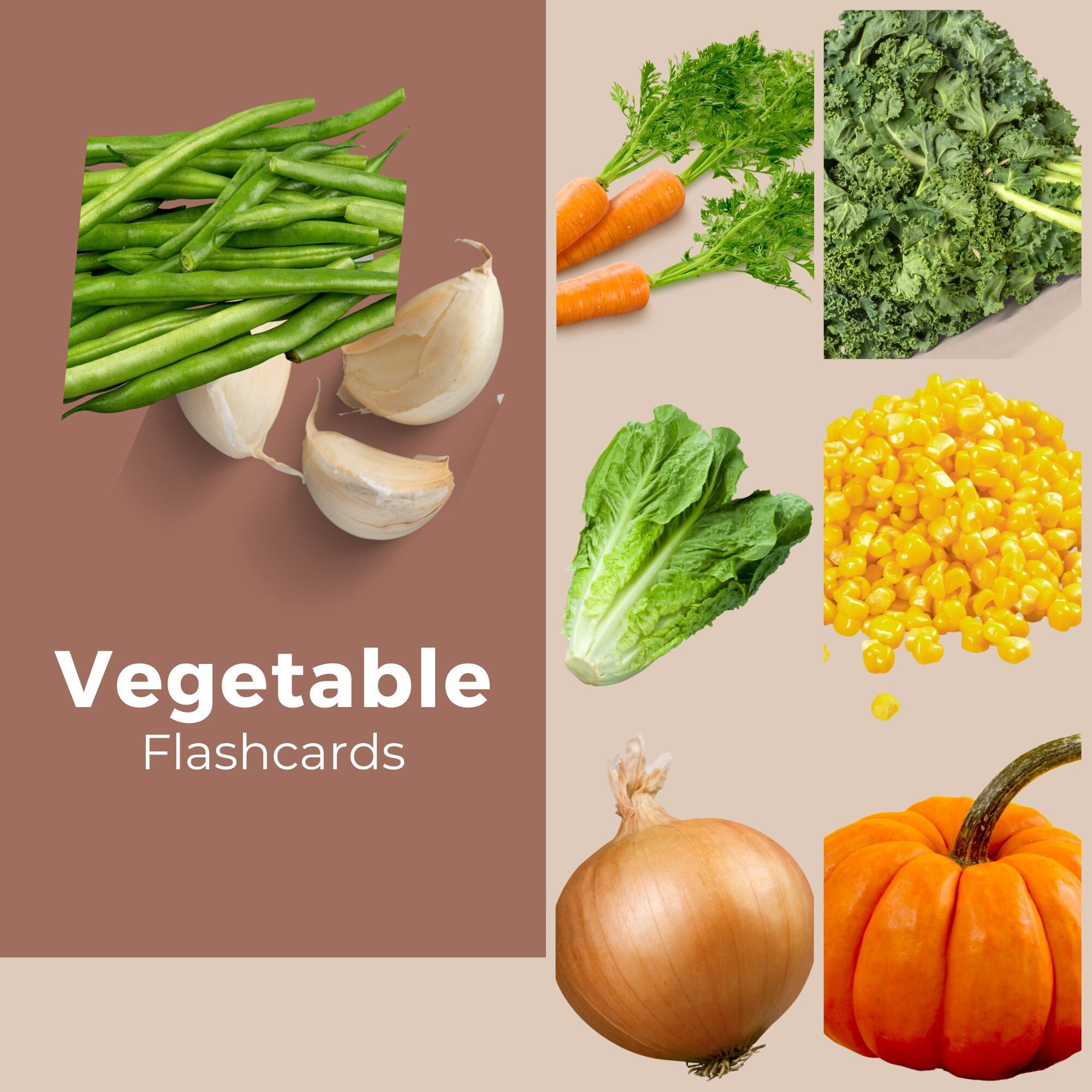 Vegetables - 24 Editable Flashcards - Pre School - Educational ...