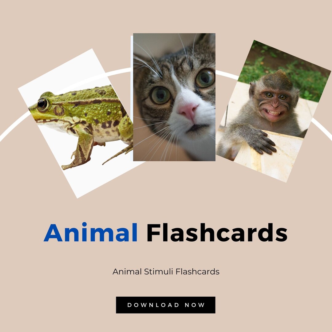 Animal Photo Picture Cards • 22 Editable Montessori Cards • Flash Cards ...