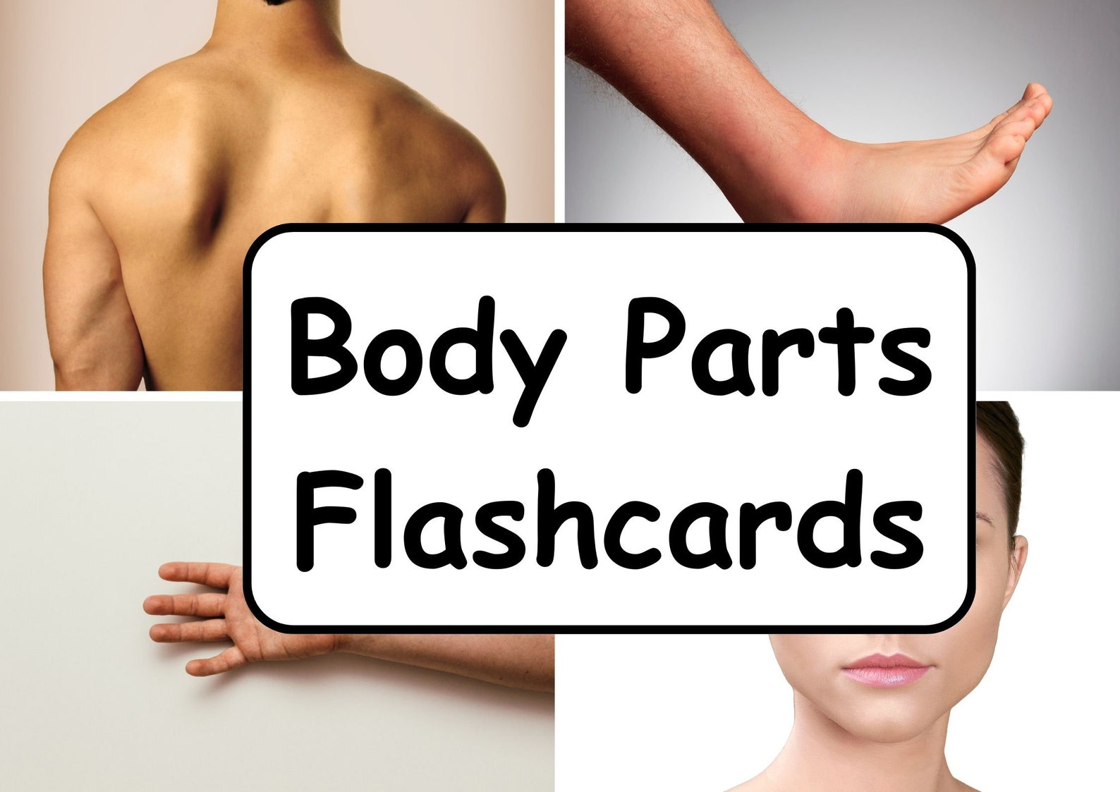 BODY PARTS (real Pictures), 15 Pages, Instant Download, Educational ...