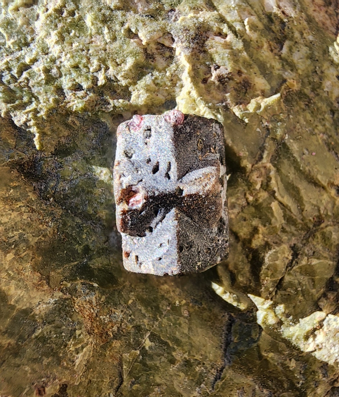 Staurolite Crystal - Fairy Cross / Zia Stone From Taos County, New ...