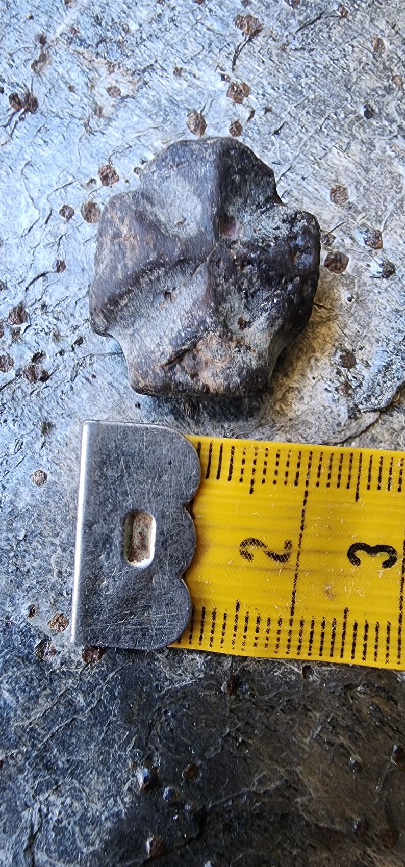 Staurolite Crystal - Fairy Cross / Zia Cross From Taos County, New ...