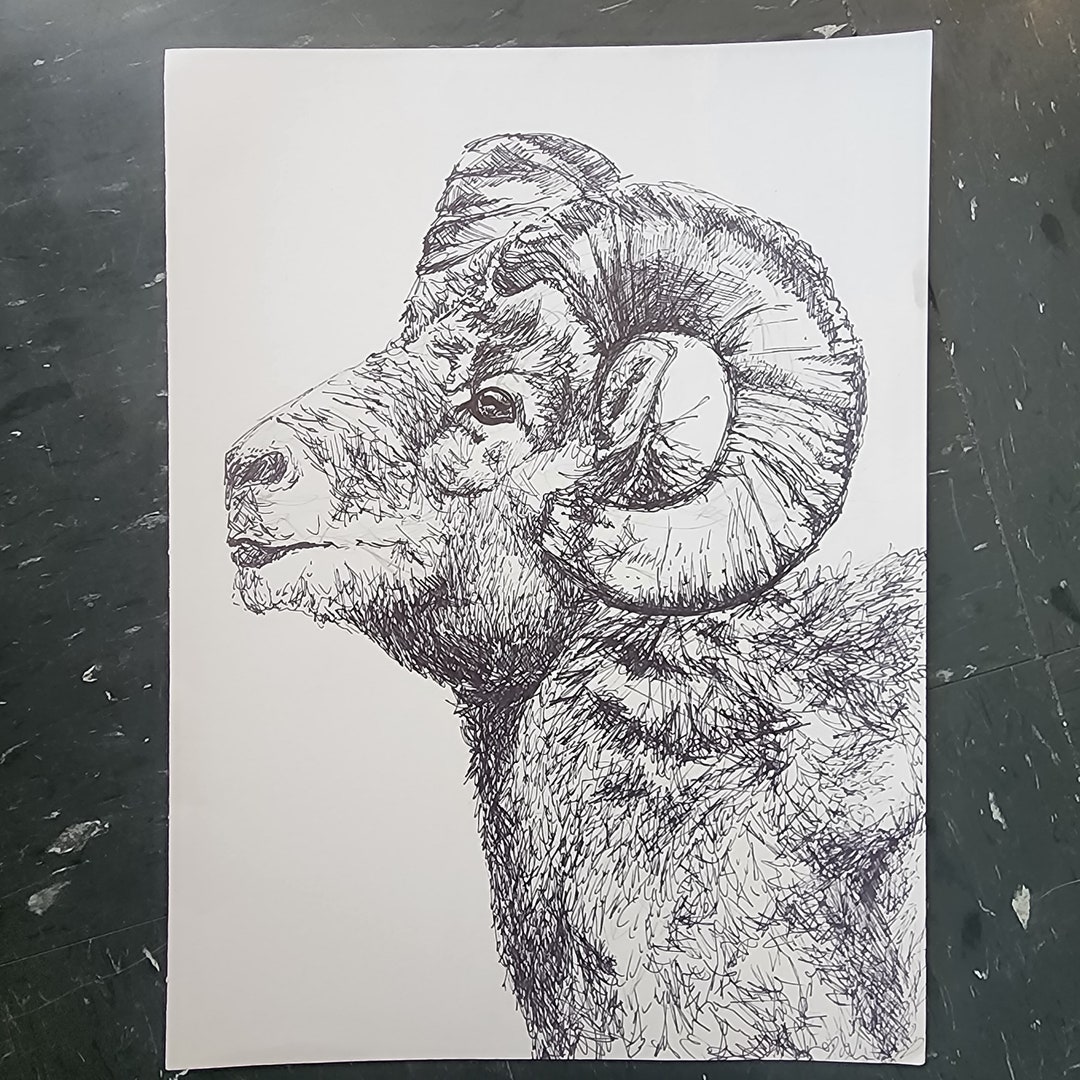 ORIGINAL Ink Drawings 8x11, Ships With Single White Matte 11x14 and ...