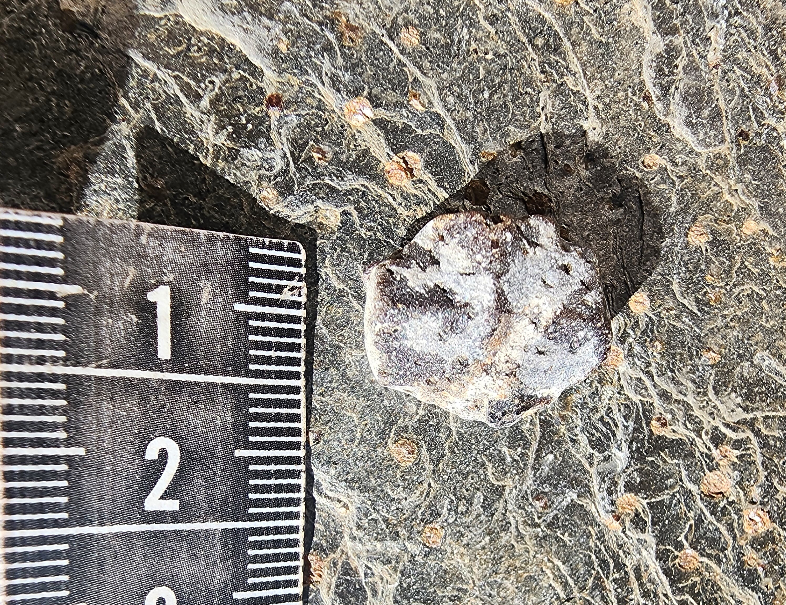 Staurolite Crystal - Fairy Cross / Zia Stone From Taos County, New ...